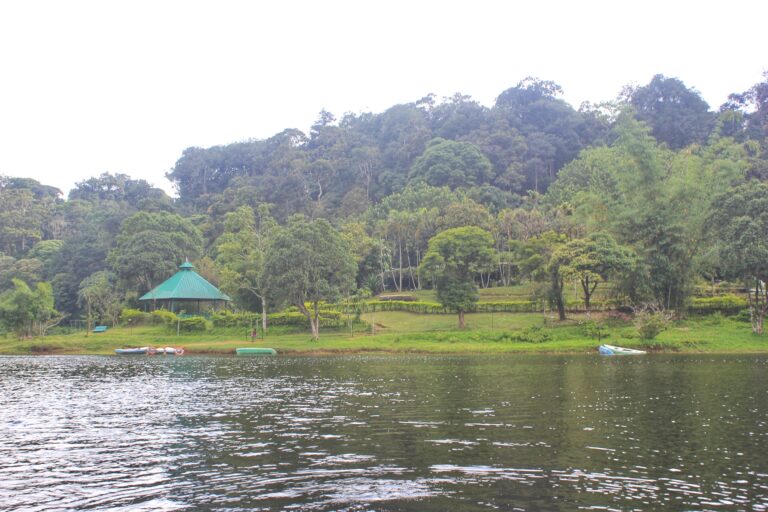 Dreamy Escapade to Gavi, Kerala, - ECHOES OF TRAVEL
