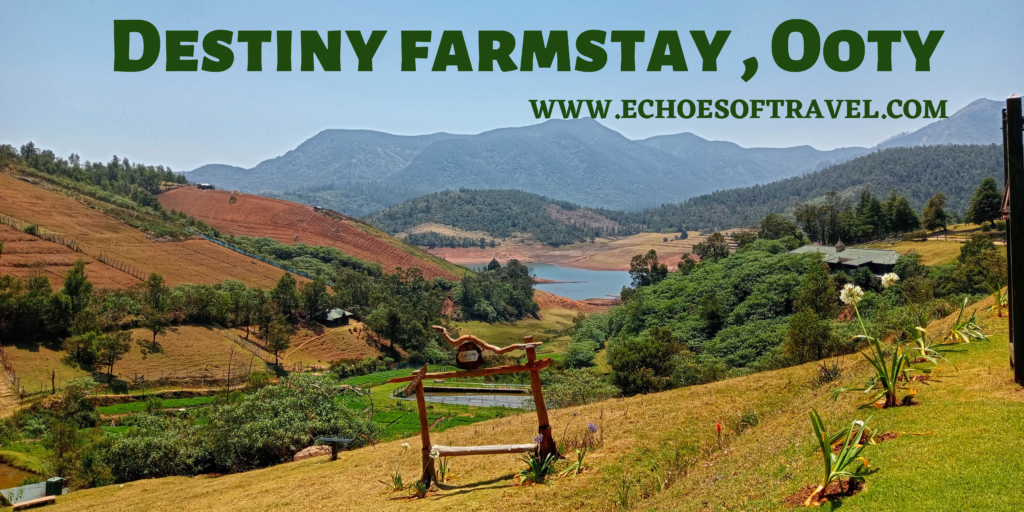 Destiny Farm Stay, Ooty - ECHOES OF TRAVEL