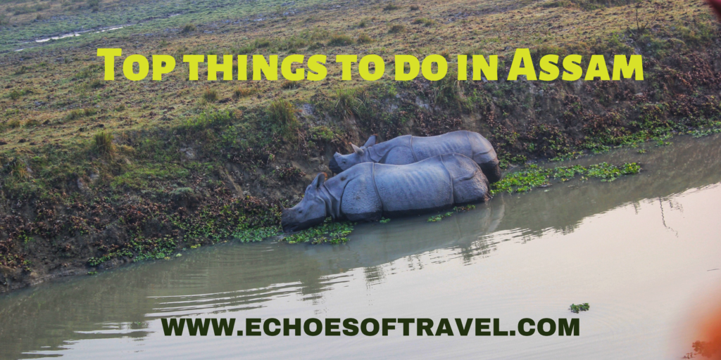 Top things to do in Assam - ECHOES OF TRAVEL
