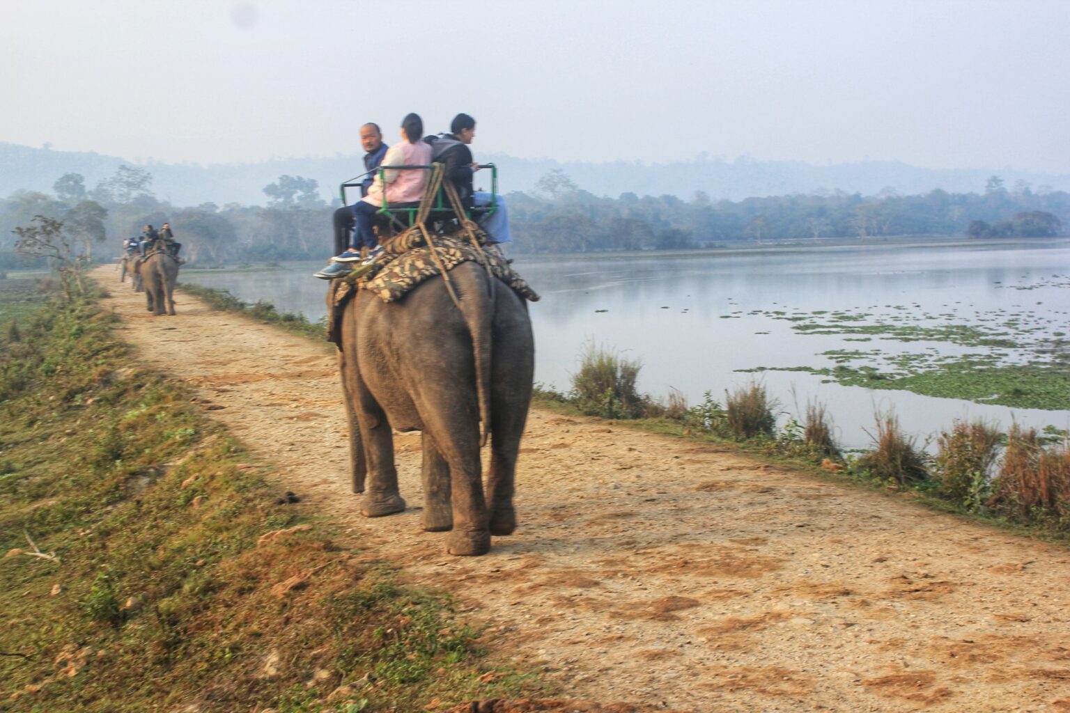 Top things to do in Assam - ECHOES OF TRAVEL